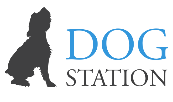 Dog Station Hotel dla psów w Warszawie: szkolenia, opieka dzienna